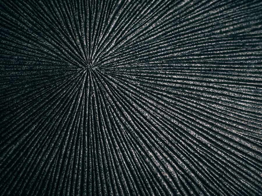 Yee Lee Shing – author, BOLD