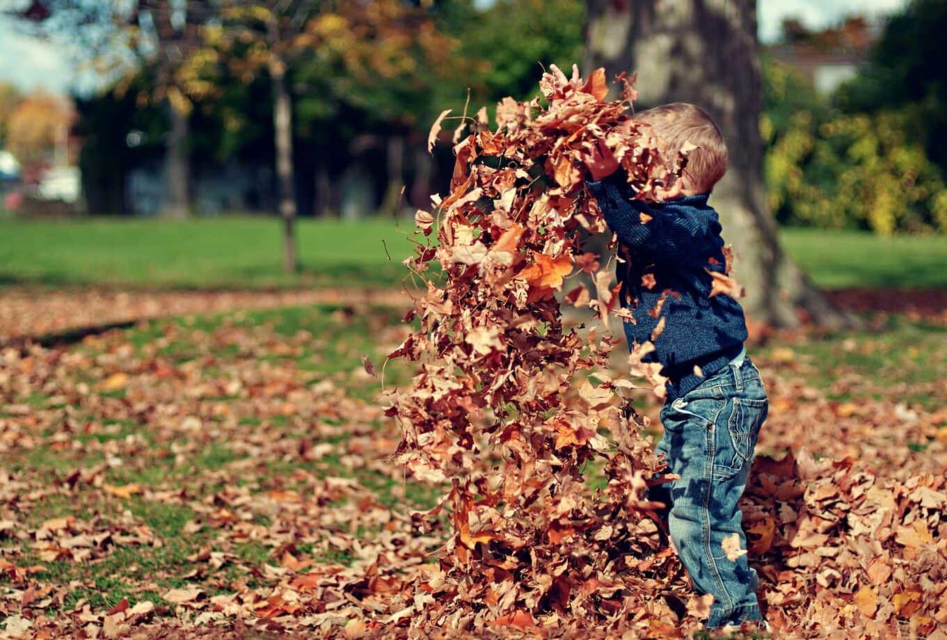 Do kids benefit from making art in nature? – BOLD